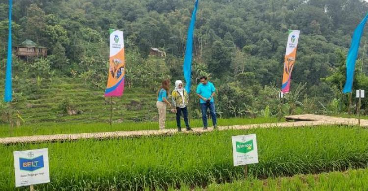 Bayer Bantu Kerek Produksi Pertanian Di Bogor
