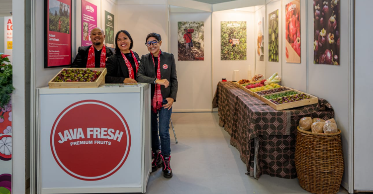 Cerita Tiga Sahabat Kenalkan Manggis Di Eropa Pamor Buah Lokal Di Kancah Global