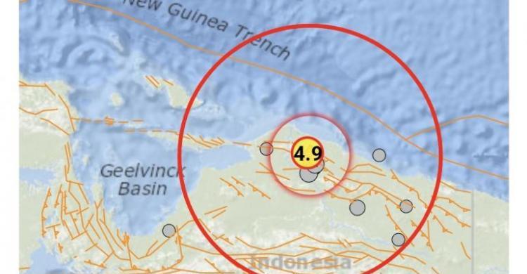 Gempa Darat M4,9 Getarkan Mamberamo Raya Papua