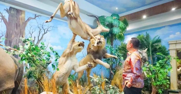 Kunjungi Museum Satwa Dunia di Medan Ketua MPR Apresiasi Koleksi Rahmat ...