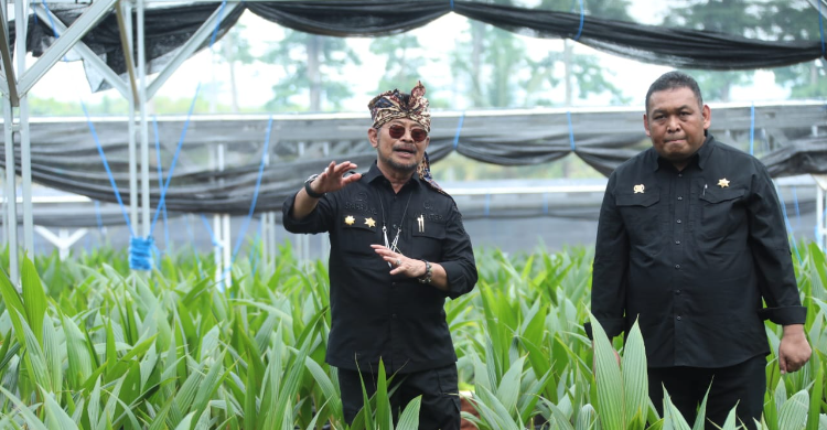 Mentan Launching Pusat Nursery Kelapa Genjah Nasional Di Batang Mentan Launching Pusat Nursery Kelapa Genjah Nasional Di Batang