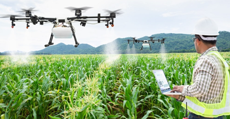 Peneliti: Transformasi Sistem Pertanian Bantu Capai Ketahanan Pangan