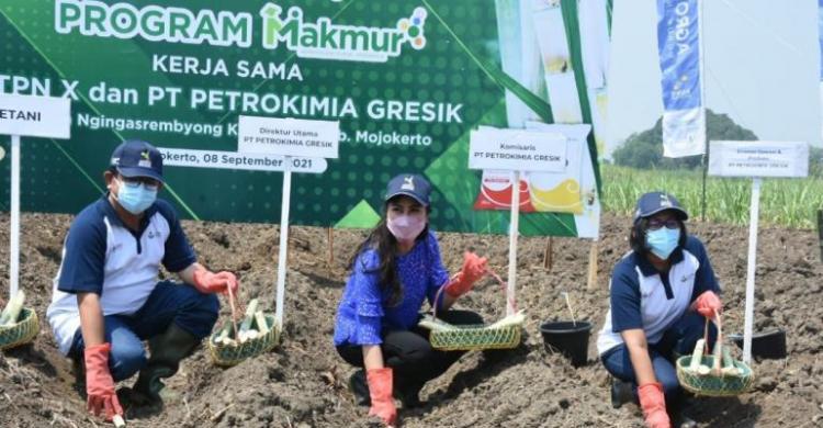 Petrokimia Gresik Makmurkan 21 Ribu Petani Lewat Program Makmur