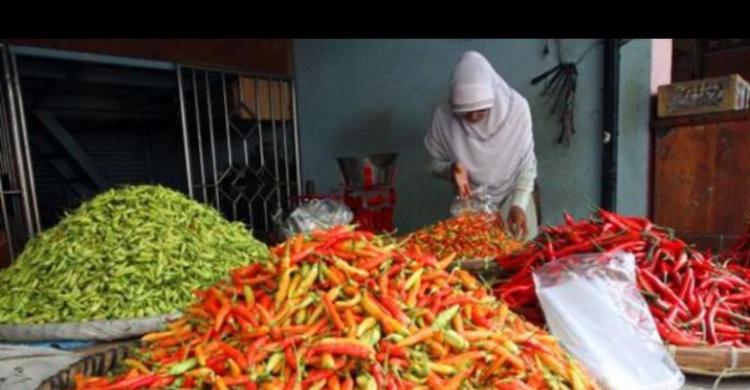 Tanam Cabe Di Musim Kemarau, Kementan Minta Petani Terapkan Jurus Ini