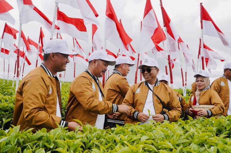 100 Tahun Kebun Teh Kayu Aro, PalmCo Perkuat Mutu dan Rebranding Global