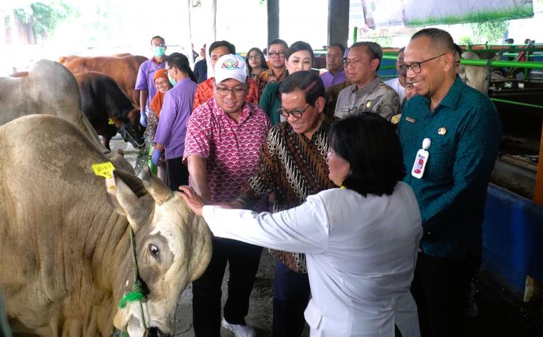 Dharma Jaya Siapkan 1.241 Ekor Sapi Kurban Sambut Idul Adha 1446 H