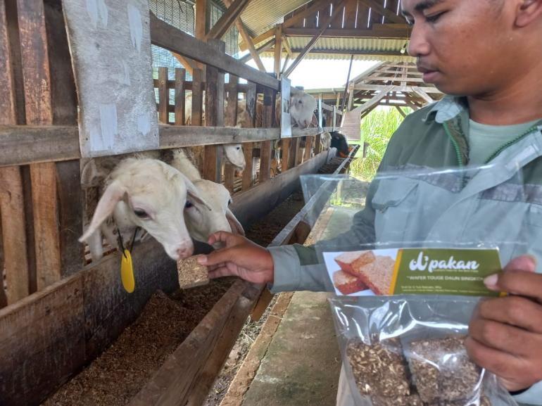 Dosen IPB Beri Pelatihan Wafer Pakan Ke Pondok Pesantren Di Gresik