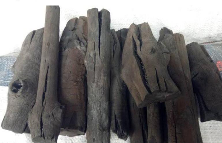 DPR dan KLHK Datangi Penampungan Arang Bakau di Batam, Langsung Disegel