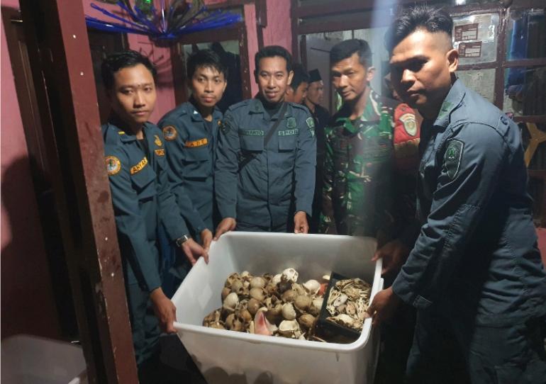 Gakkum Kehutanan Gagalkan Ekspor Ilegal Satwa Dilindungi Ke AS