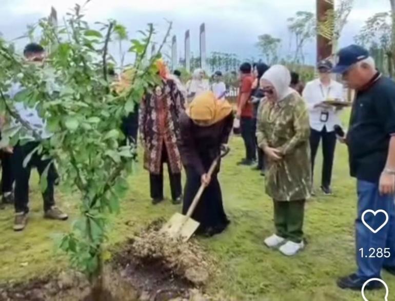 Gubernur Khofifah Tanam Pohon Maja di IKN, Simbol Jatim Gerbang Baru Nusantara