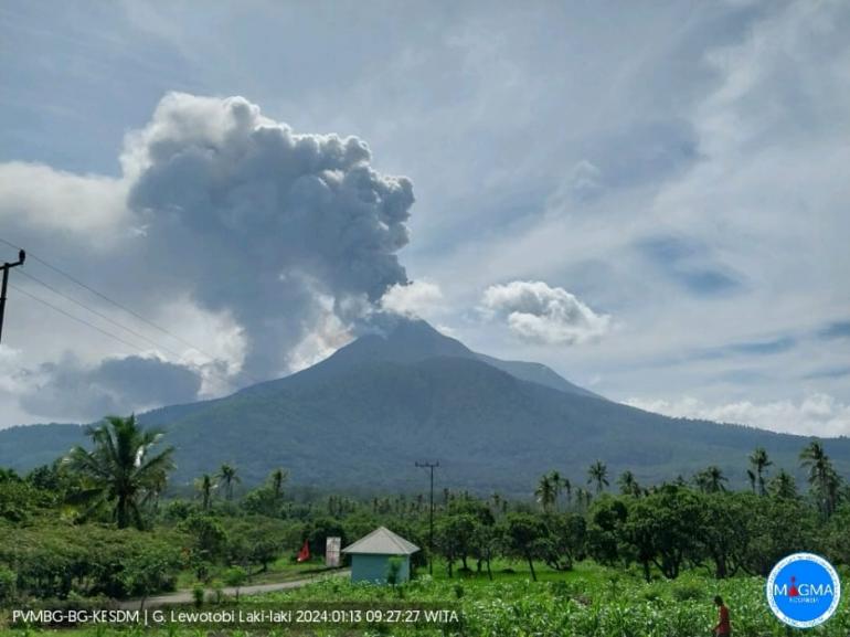 Gunung Lewotobi Erupsi, Semburan Vulkanik Capai 800 Meter
