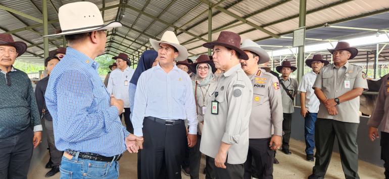 Mentan Pastikan Keamanan Dan Ketersediaan Hewan Kurban