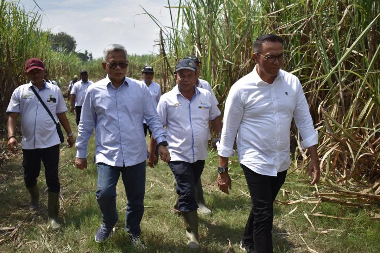 Kunjungi Perkebunan Tebu PTPN II Abdul Ghani: Kejar Target 40 Ribu Ton Gula