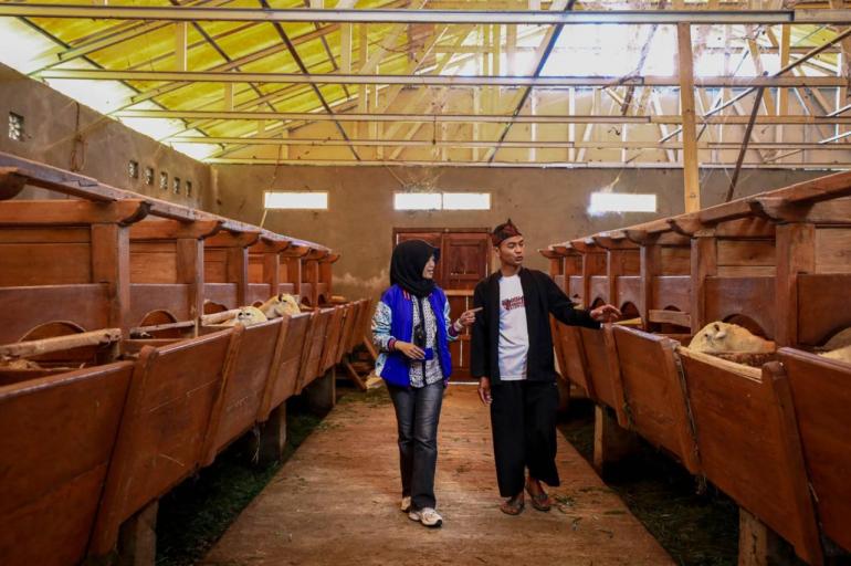 KUR BRI Dorong Setengah Juta UMKM Naik Kelas, Tingkatkan Daya Saing