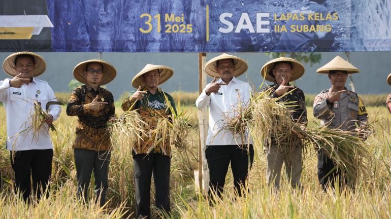 Lapas Subang Panen 12 Ton Padi Dari Program Pembinaan