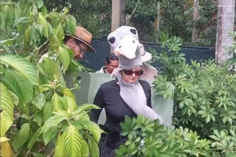 Latihan Tangkap Unggas, Memakai Kostum Burung Unta