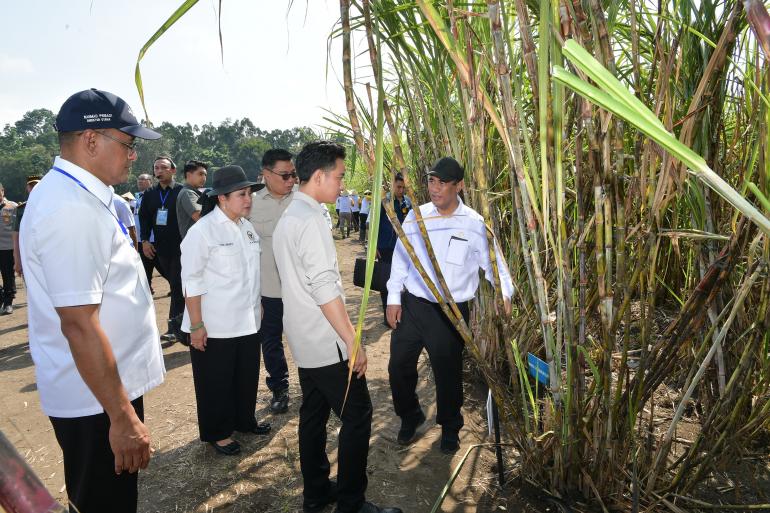 Panen Tebu di Sleman, Gibran Ditemani Panglima dan Titiek