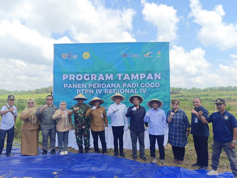 RSI Dan PTPN IV PalmCo Panen Perdana Padi Gogo di Jambi