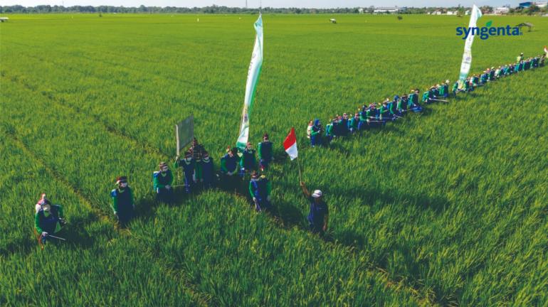 Syngenta Edukasikan 10.000 Petani Soal Teknologi Pertanian