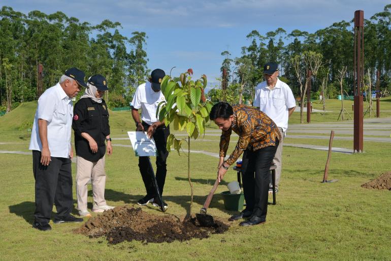 Wapres Tanam Pohon Ulin Di IKN, Simbol Ketangguhan Dan Harapan