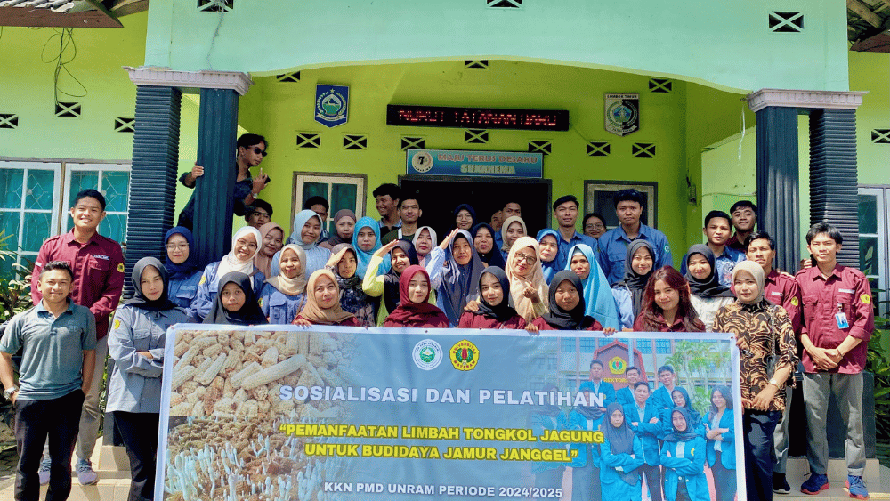 KKN PMD Unram Gelar Pelatihan Budidaya Jamur Janggel di Sukarema