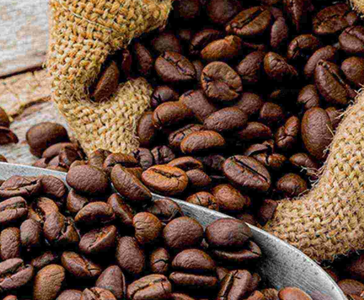 Mengoptimalkan Hasil Pertanian Kopi dari Budidaya hingga Penyajian ...