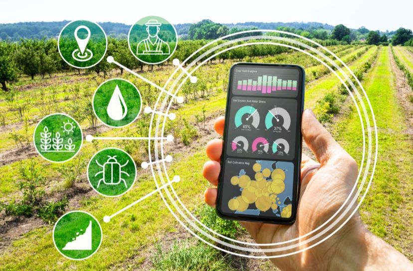 Teknologi Sensor (Smart Farming) untuk Kesehatan Tanaman dan Kelola Irigasi