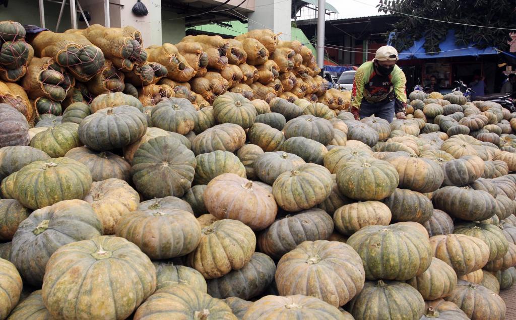 Berkah Ramadan, Permitaan Labu Parang Meningkat
