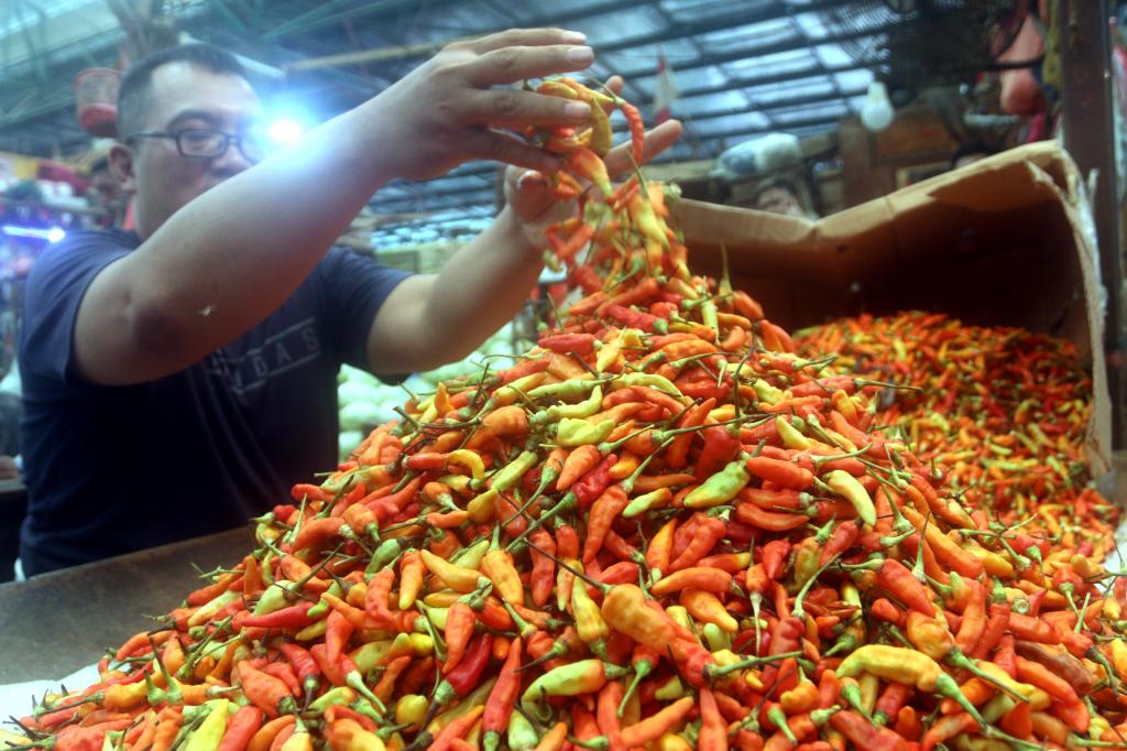 Harga Cabe Makin Pedas