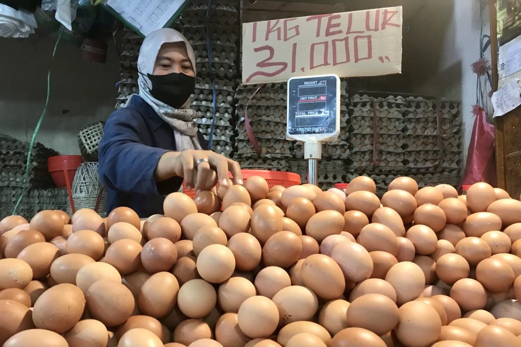 Harga Telur Ayam Melambung Tinggi
