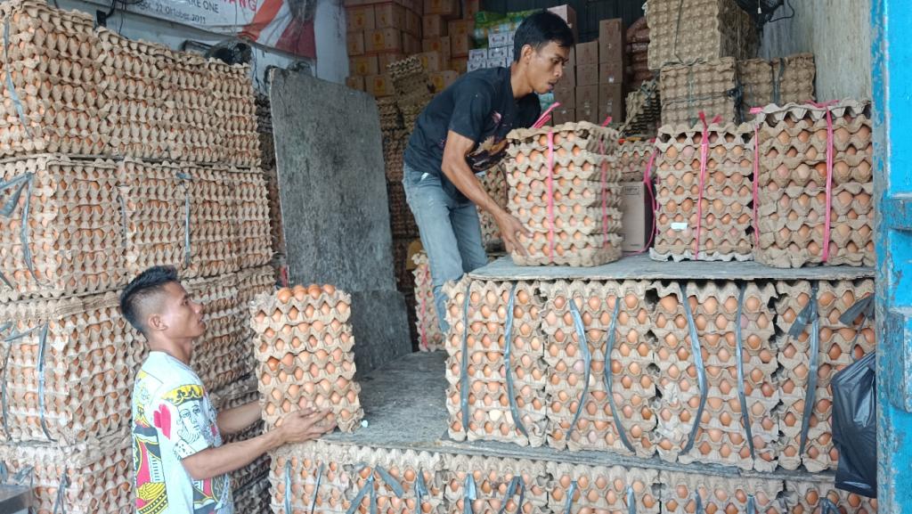 Harga Telur Ayam Stabil
