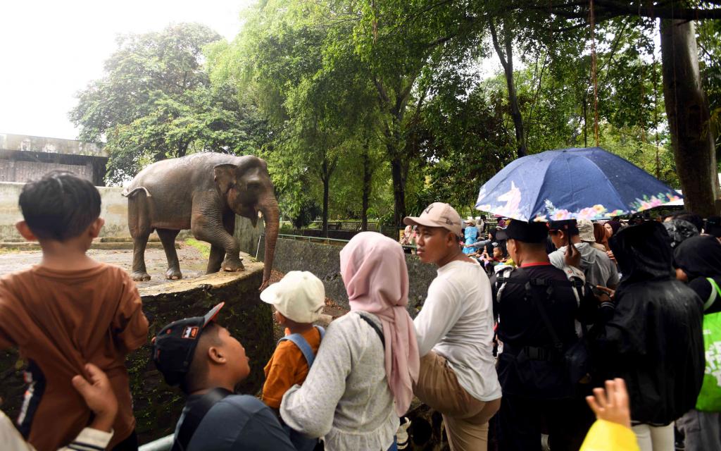 Libur Lebaran Di Kebun Binatang Ragunan