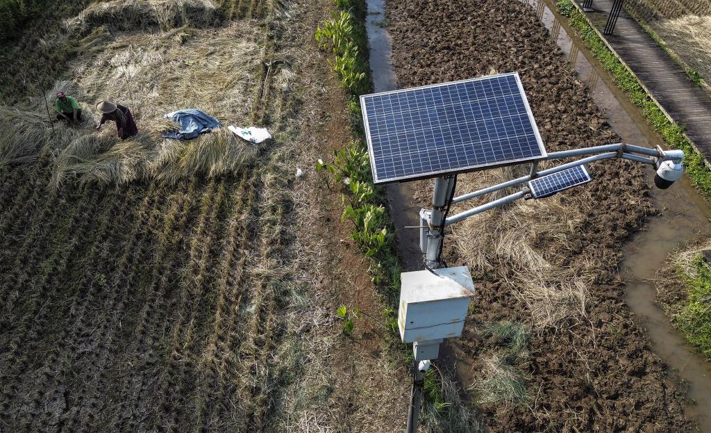 Panel Surya Energi Berkelanjutan Pertanian