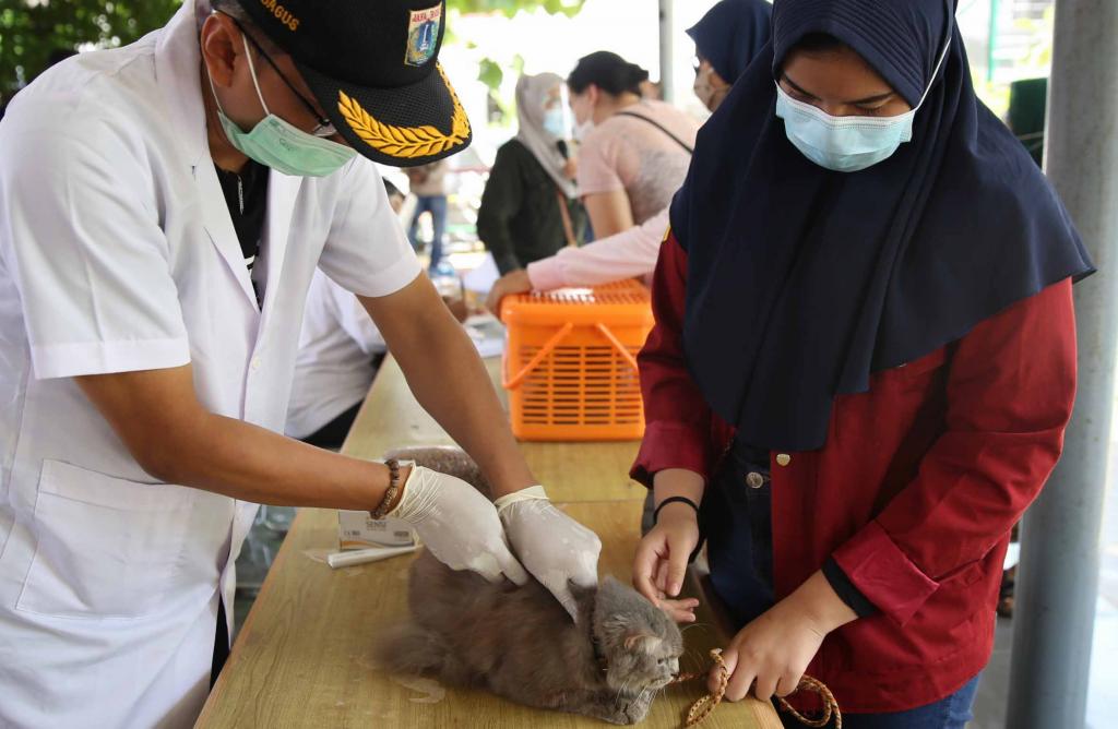 Pemberian Vaksin Anti Rabies Gratis untuk Hewan Peliharaan