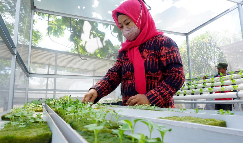 Rumah Bibit Kelompok Wanita Tani