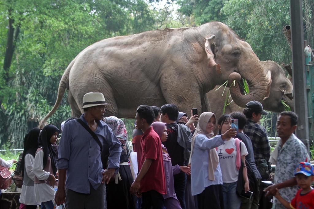 Warga Liburan Lebaran Di Taman Margasatwa Ragunan