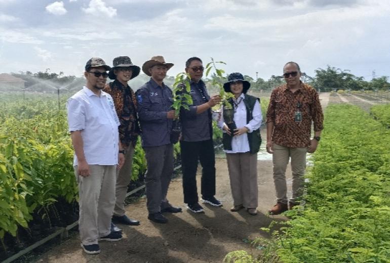 Intip Proses Pembibitan Modern di Persemaian Rumpin: Dari Cocopeat ...