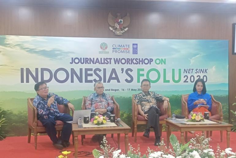 Menuju FOLU Net Sink 2030, Indonesia Usung Strategi Net Zero Deforestasi